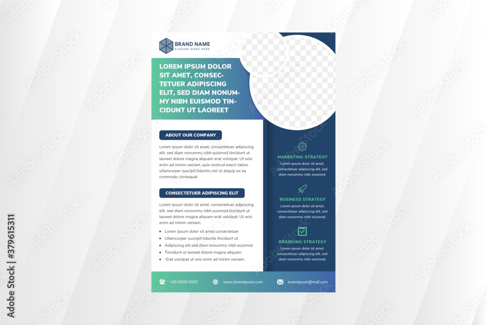 Vector vertical layout, flyers design template, company profile ...