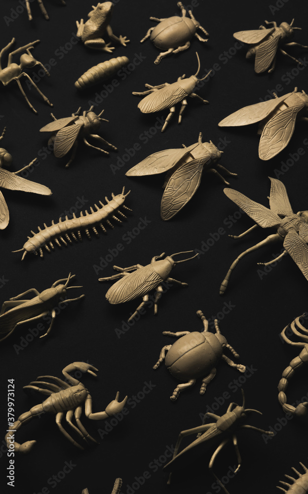 Insectorium/collection of bugs/insects. Stock Photo | Adobe Stock