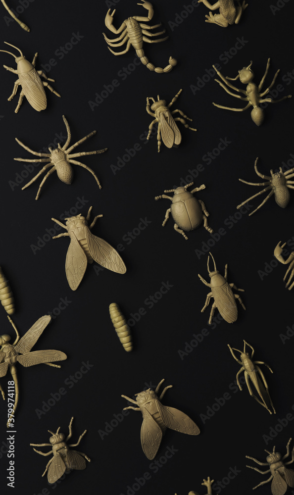Insectorium/collection of bugs/insects. Stock Photo | Adobe Stock