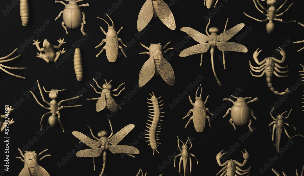 Insectorium/collection of bugs/insects. Stock Photo | Adobe Stock