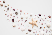 Starfish, Shells Pattern Background Free Stock Photo - Public Domain ...