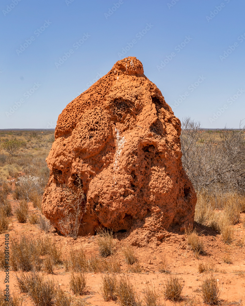 Termite Mound made by grass-eating spinifex termites - mounds vary in ...