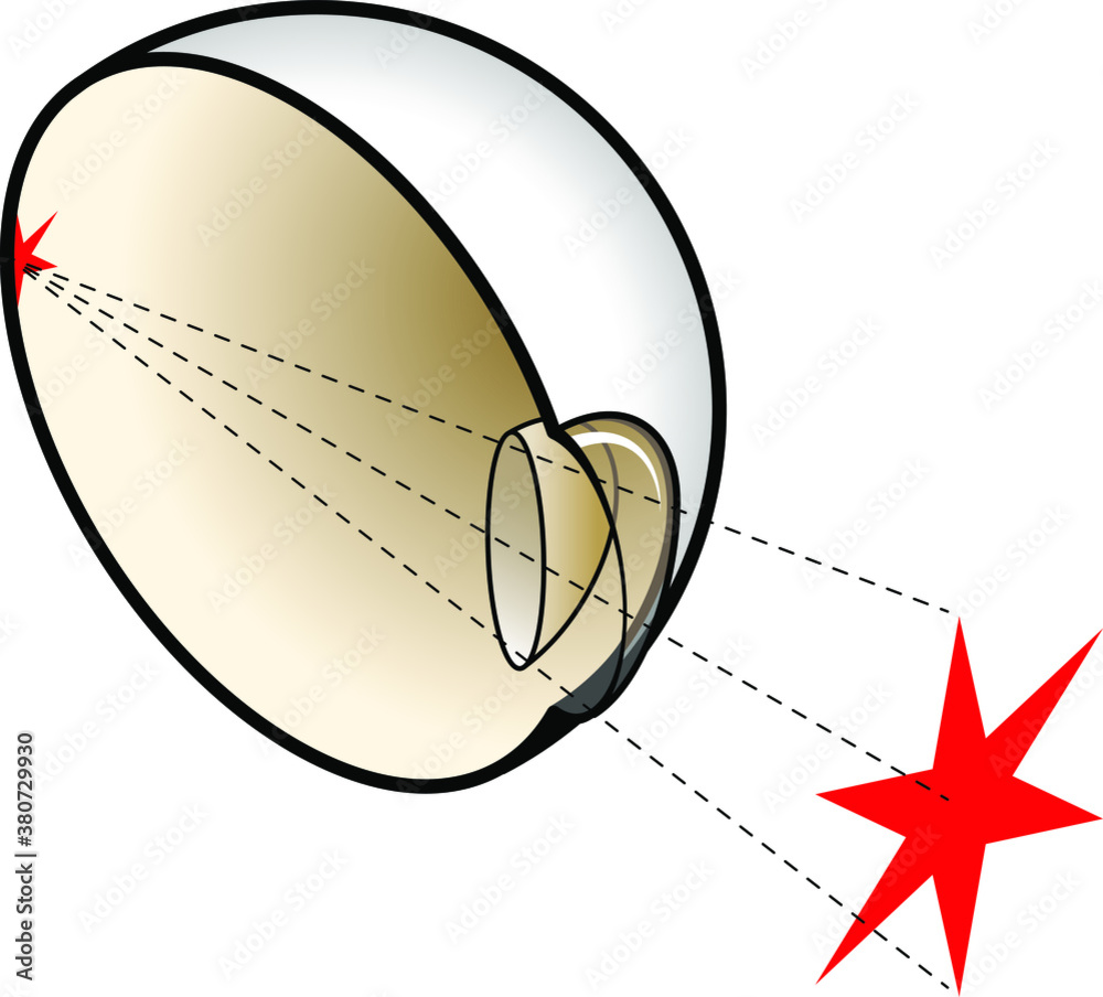 Cross section diagram of a normal-sighted human eye. Stock Vector ...