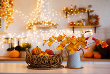 Fall Decor 6 Free Stock Photo - Public Domain Pictures