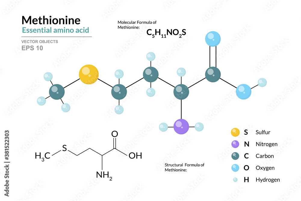 Methionine. Met C5H11NO2S. Essential Amino Acid. Structural Chemical ...
