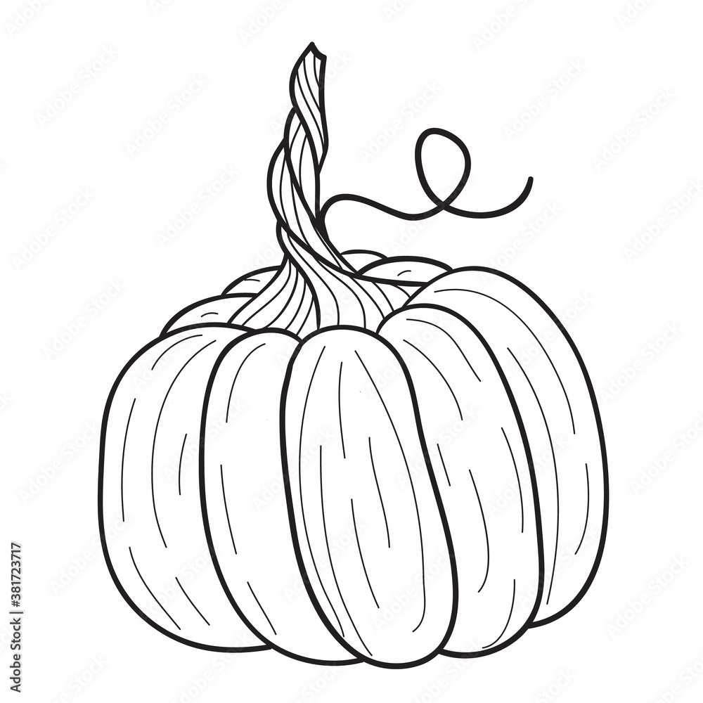 Pumpkin for coloring book. Line art design for kids coloring page ...