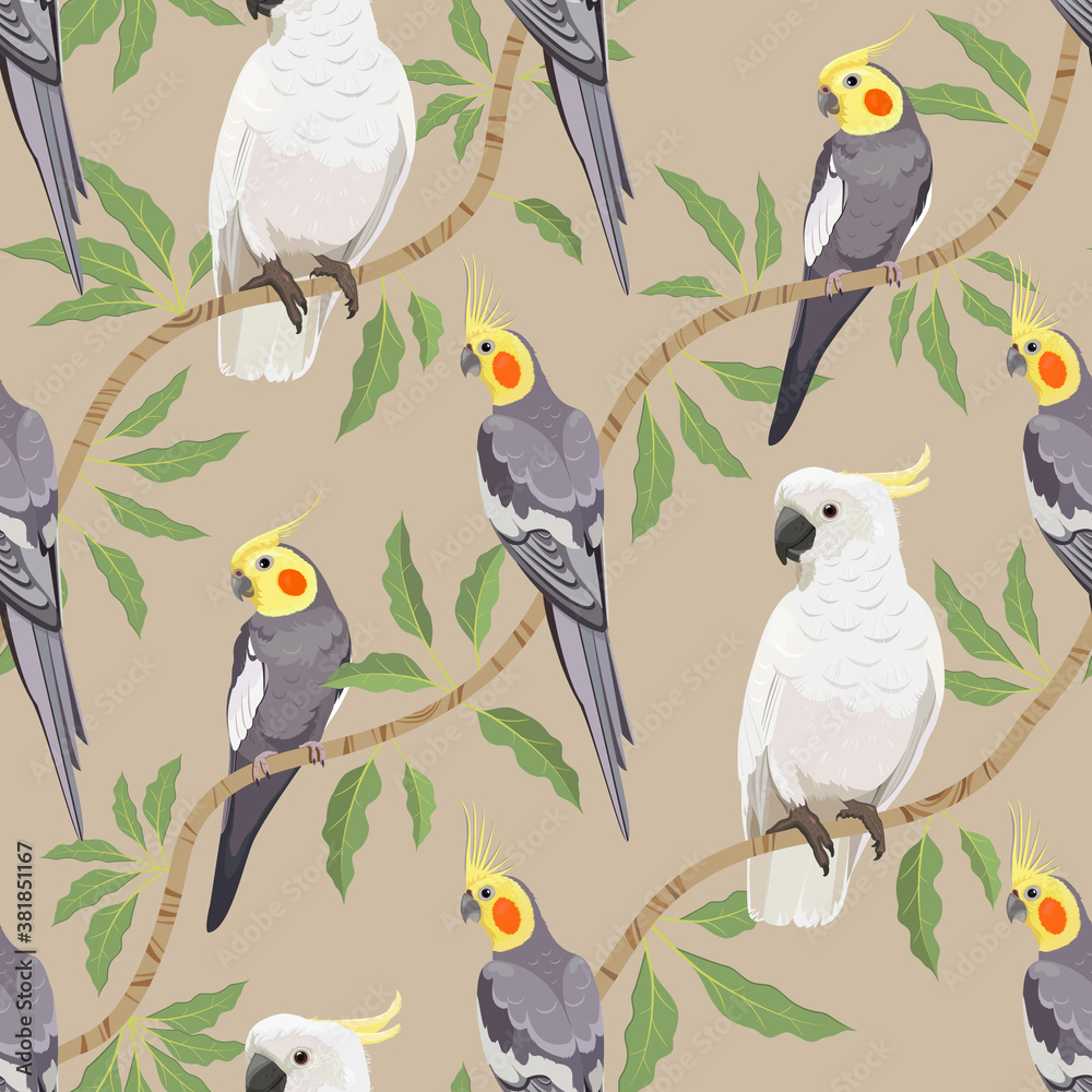 Cockatiel and Cockatoo birds diagonal pattern Stock Vector | Adobe Stock