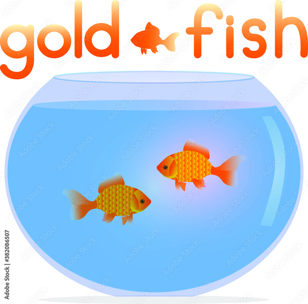 Aquarium with water and two goldfish. Aquarium with the inscription ...