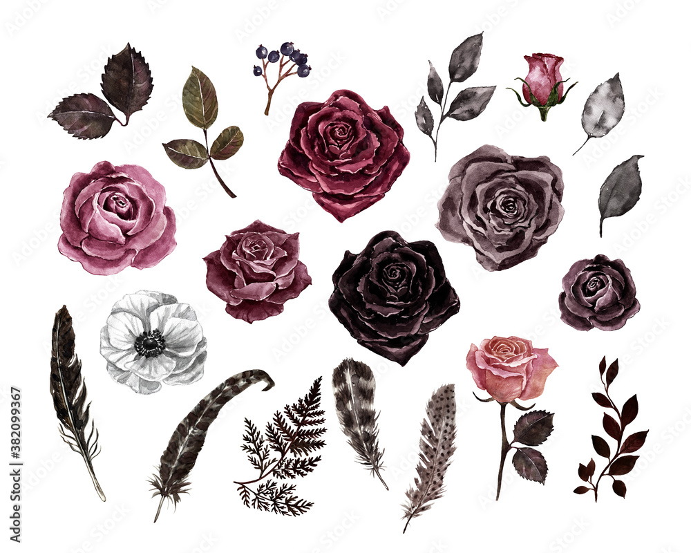 Watercolor floral set. Black, deep red, burgundy, purple roses ...