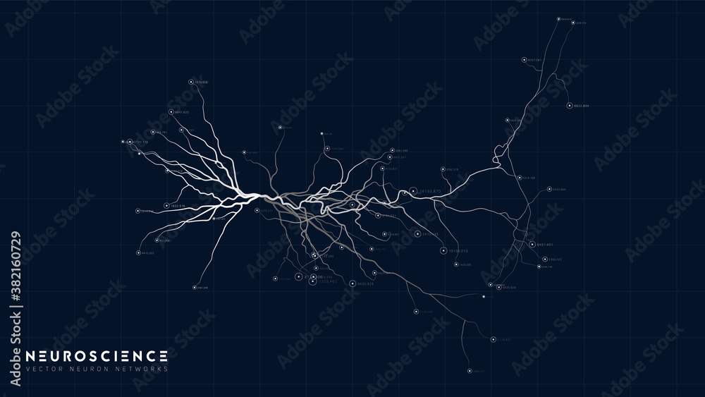 Neuron system model. Neural net structure. Research of the human nerve ...