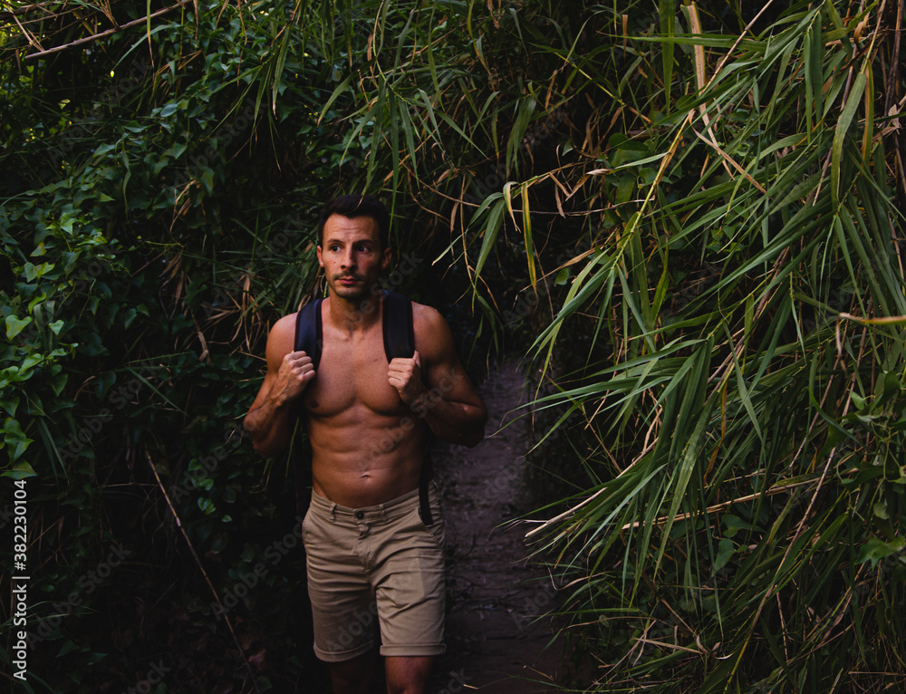 ภาพถ่าย Stock Shirtless man walking into the woods. Adventure time ...
