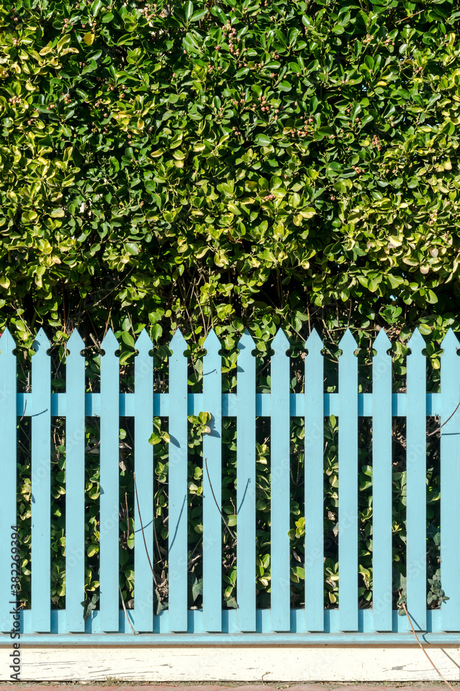 Blue fence Stock Photo | Adobe Stock