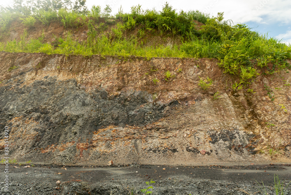 Tropical sedimentary roadcut outcrop. Geological fault cut between ...