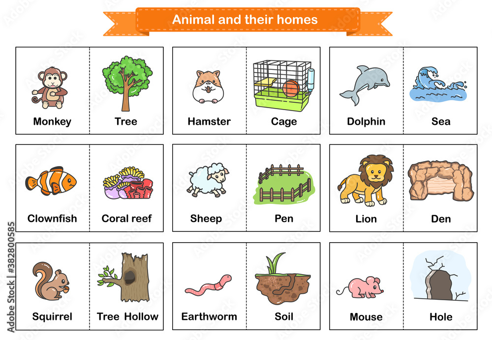 Animal and Their Homes Flash Cards. Printable flash card illustrating ...
