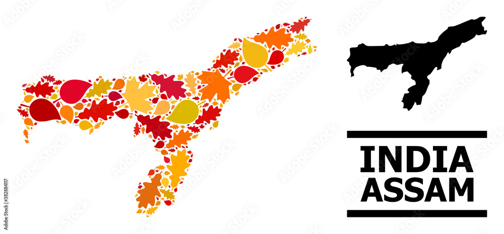 Mosaic autumn leaves and usual map of Assam State. Vector map of Assam ...