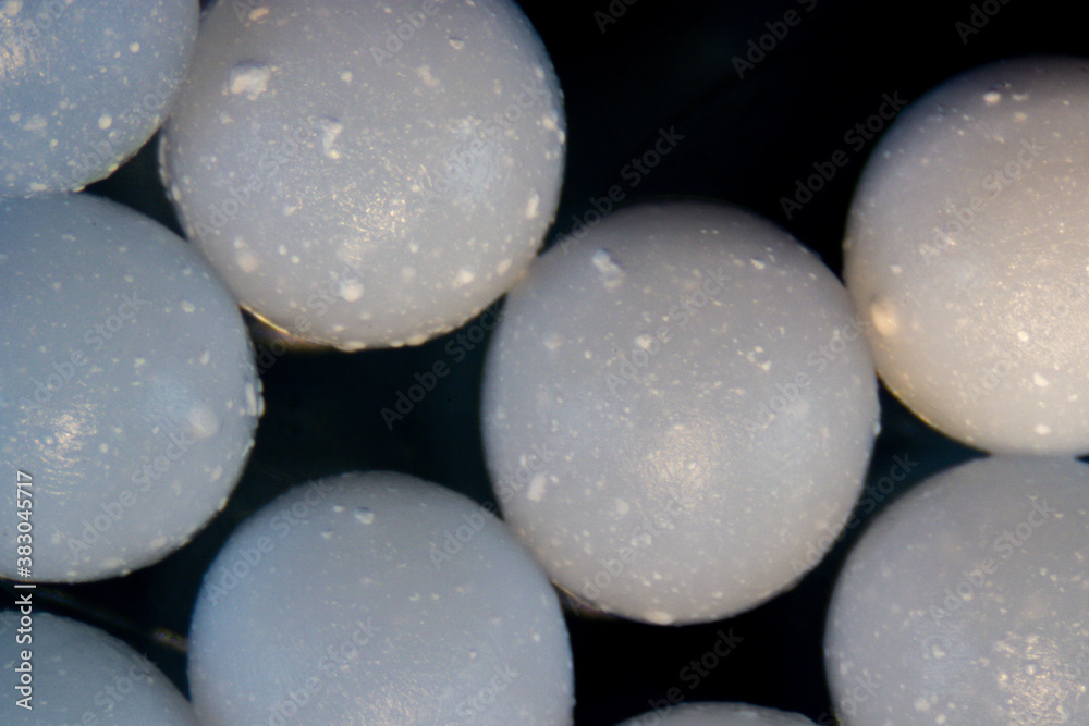 Sodium alginate is a cell wall component of marine brown algae for ...