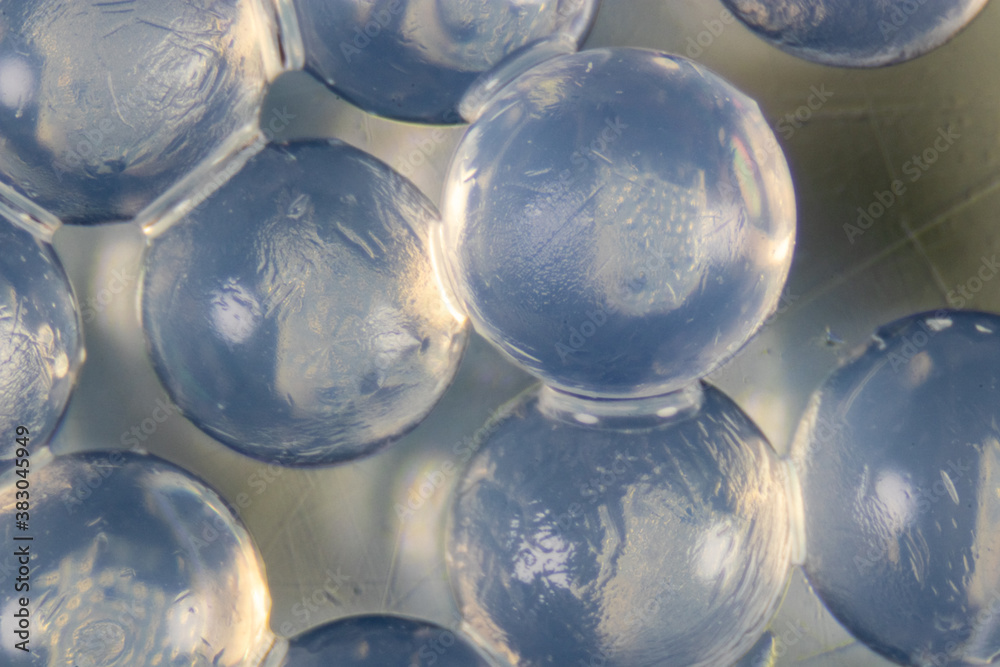 Sodium alginate is a cell wall component of marine brown algae for ...