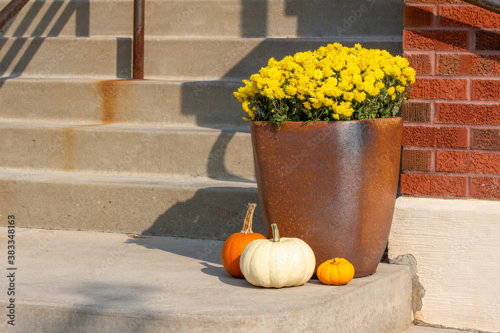 Abstract still life view of a sunny doorstep with a pottery planter of ...