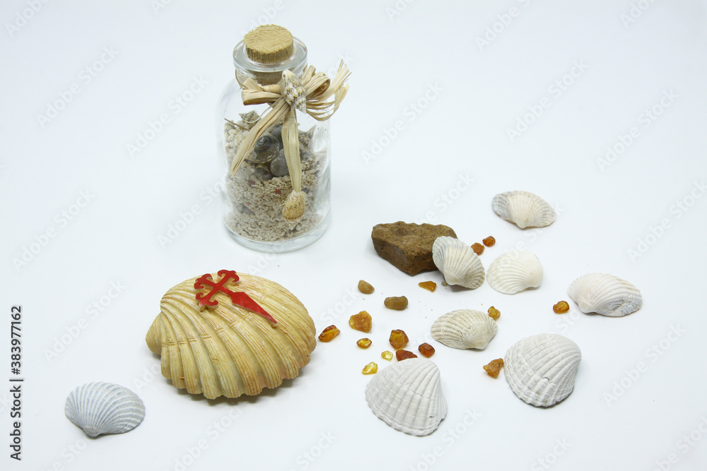 Seashell of St. James with a bloody red cross. Symbol of pilgrims. Road ...