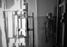 Skeleton Waiter For Halloween Free Stock Photo - Public Domain Pictures