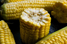 Fresh Unhusked Corn Free Stock Photo - Public Domain Pictures