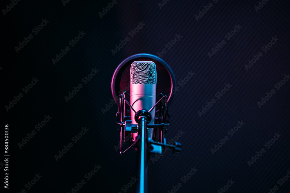 Studio microphone and pop shield on mic in the empty recording studio ...