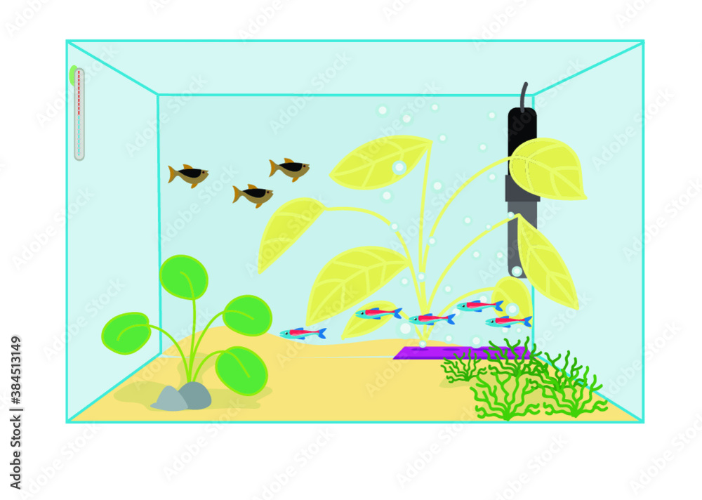 Vector de Stock akwarium, hobby, ryby, neonki, rośliny, woda, dziecko ...