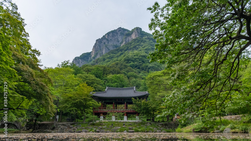 Baegyangsa Temple, located at the foot of Baegyangsan Mountain of Honam ...