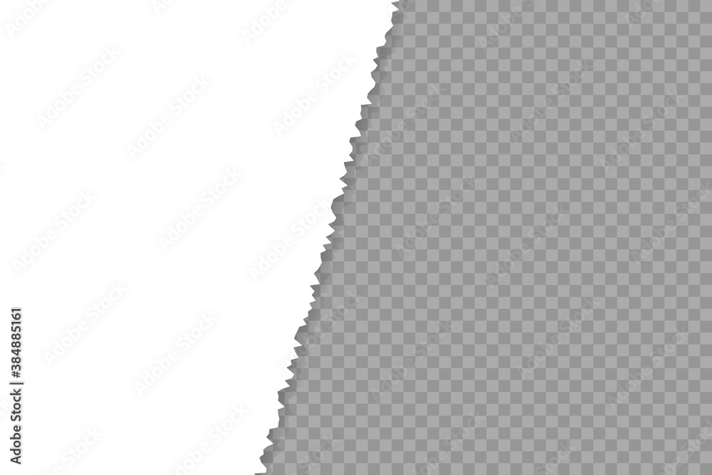 Torn paper edge PNG. Infographic vector illustration. Teared, ripped ...