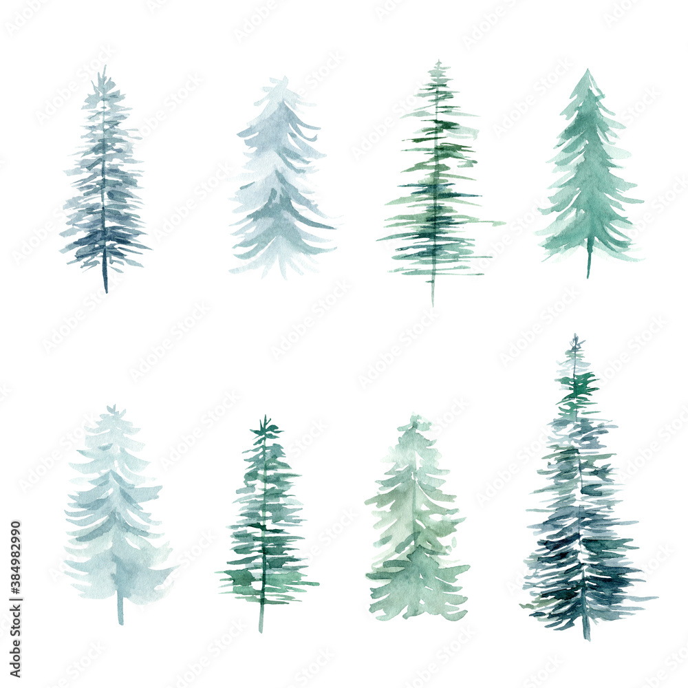 Pine trees watercolor clipart isolated on white background. Winter ...