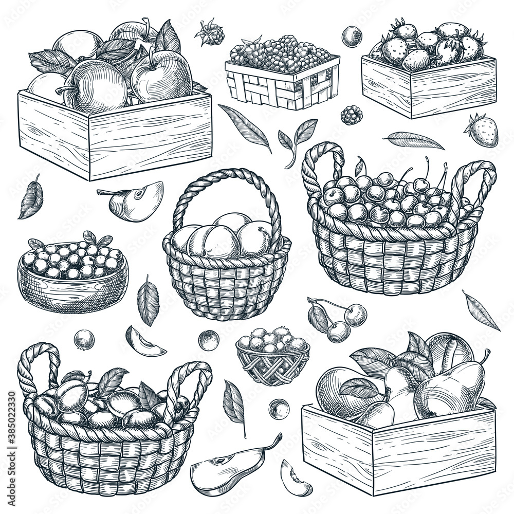 Baskets, wooden boxes, containers with berries and fruits on white ...