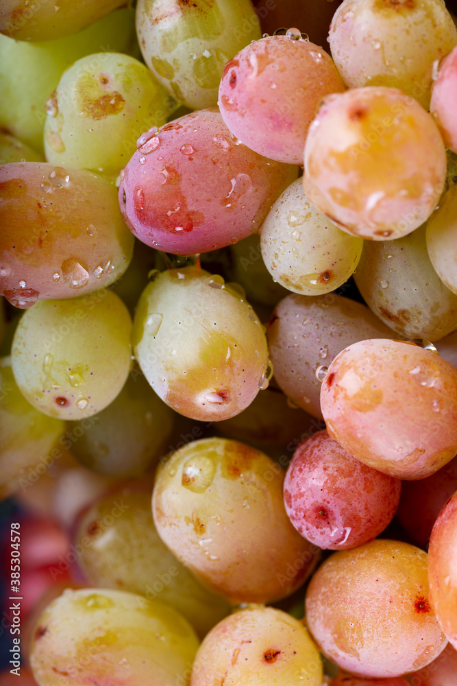Fresh colorful grapes. Backgrounds and texture. Stock Photo | Adobe Stock