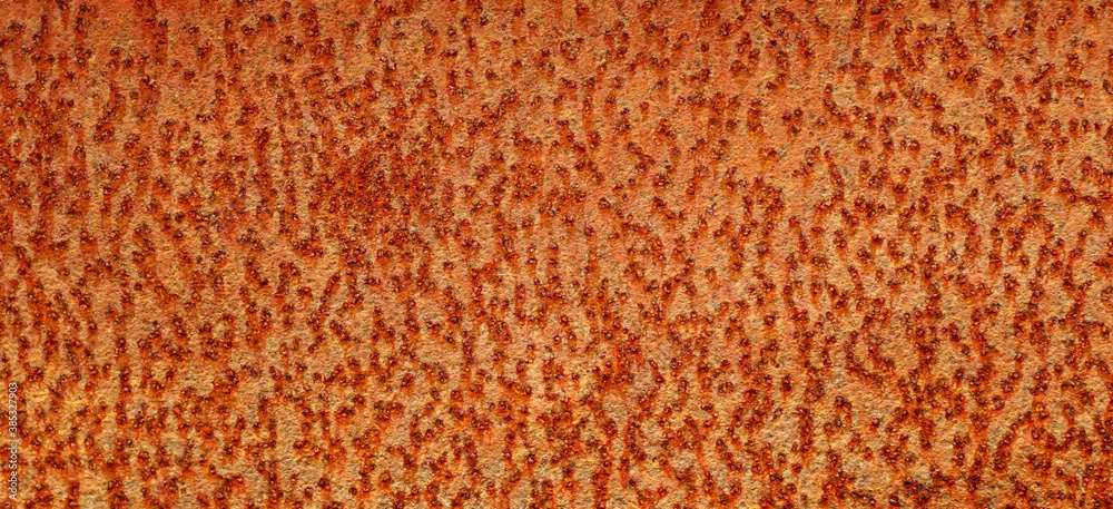 The background image of the iron sheet is rusting caused by prolonged ...