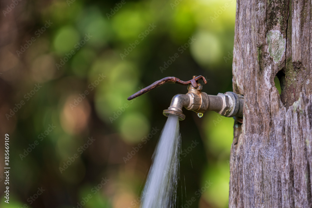 Running water from a tap in old tree background. Water consumption and ...