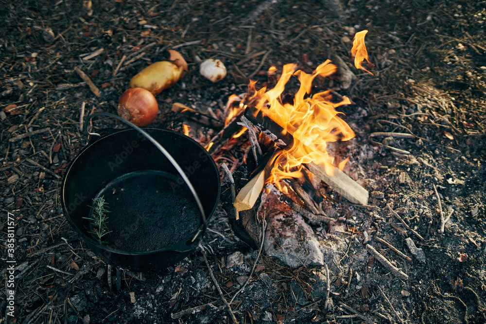 Cooking food over flames from campfire Stock Photo | Adobe Stock