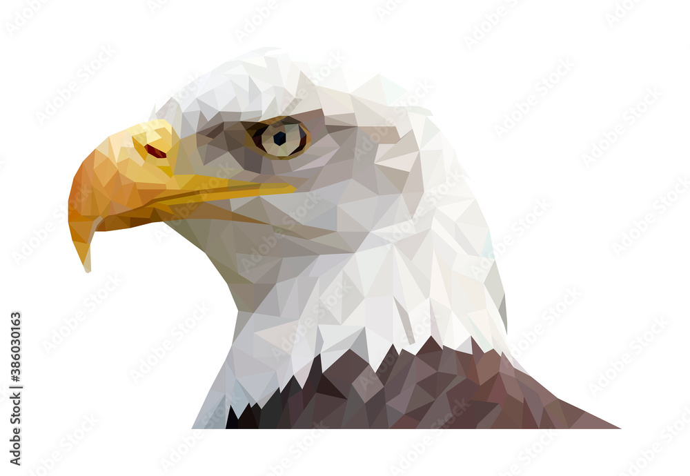 Polygonal illustration of bald eagle Stock Vector | Adobe Stock