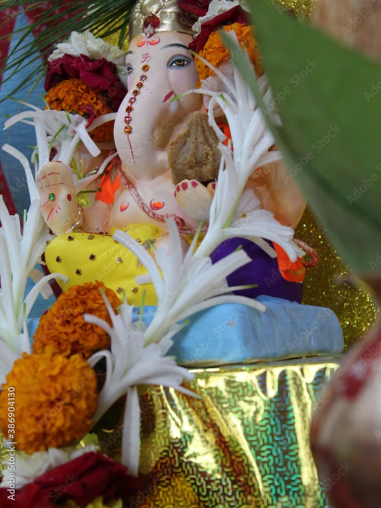 Genda-phool also known as Marigold flower. In the Ganesha festival ...