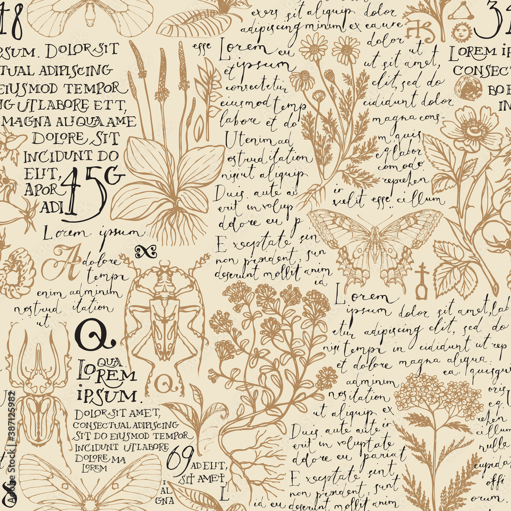 Seamless pattern with medicinal herbs, insects and handwritten text ...