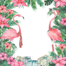 Christmas Flamingos Free Stock Photo - Public Domain Pictures