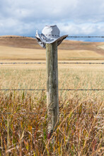 Cowboy Hat On Barbed Wire Fence 2 Free Stock Photo - Public Domain Pictures