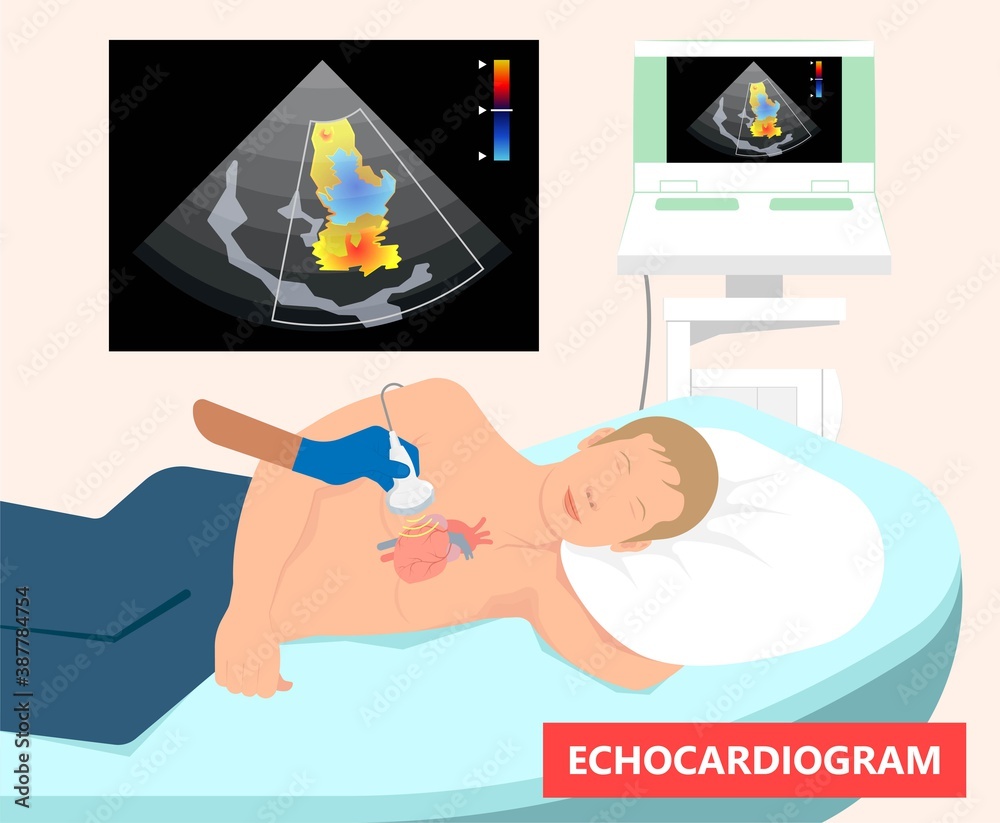 Cath Lab Atrial Septal Defect Tetralogy of Fallot Patent Foramen Ovale ...