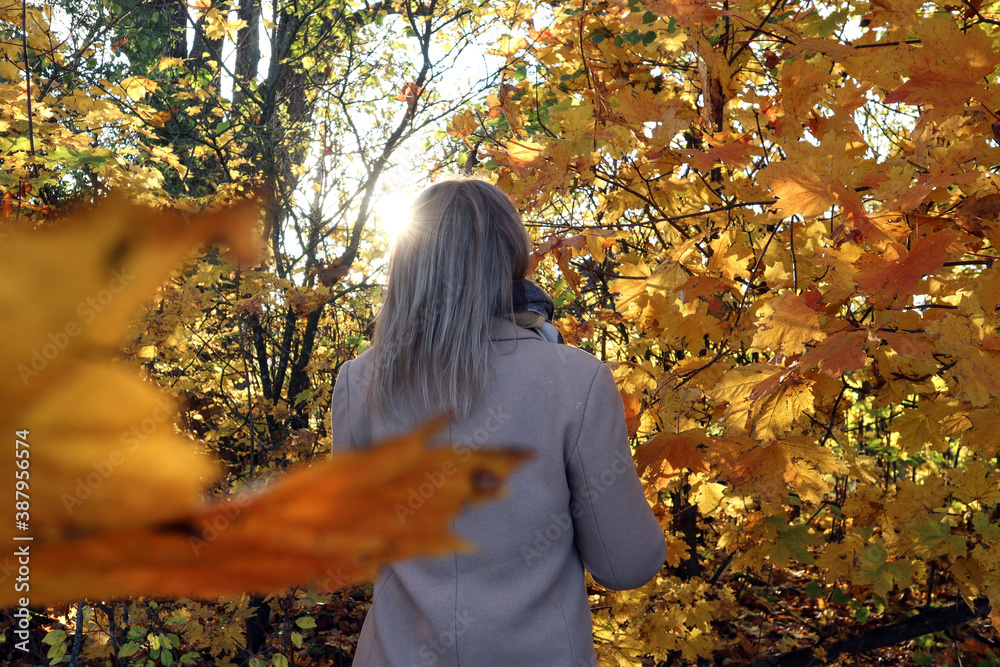 Young woman takes a photo in the old Park while walking, side view ...