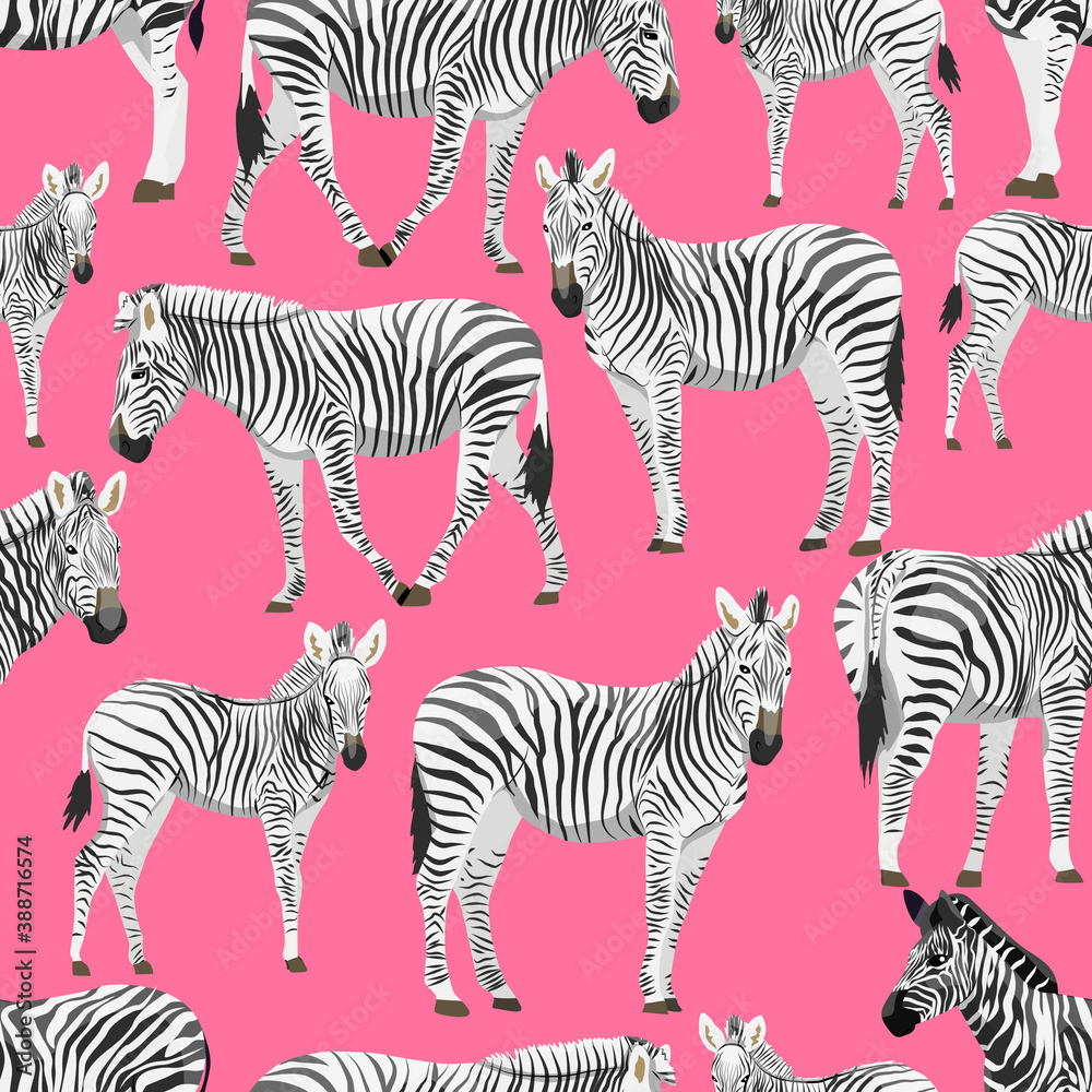 Seamless pattern with zebras on a pink background. Animals of Africa ...