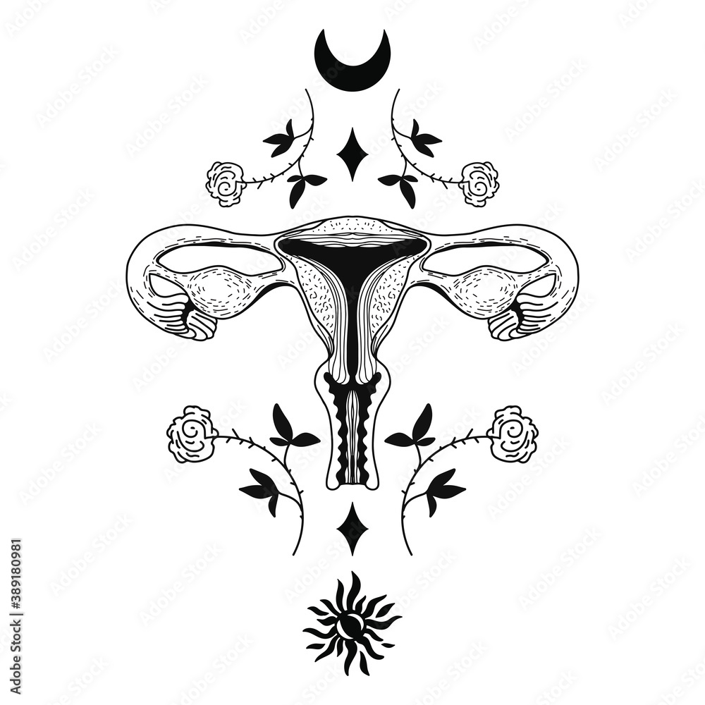 Vector realistic female reproductive system. Eps 10 illustration can be ...