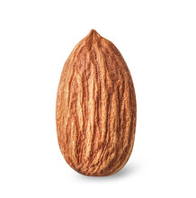 Single Almond Free Stock Photo - Public Domain Pictures