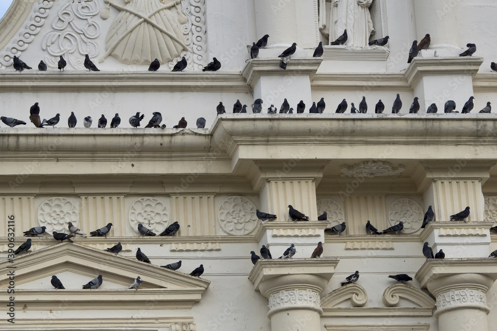 Tons of doves on richly decorated facade of the church La Merced in ...
