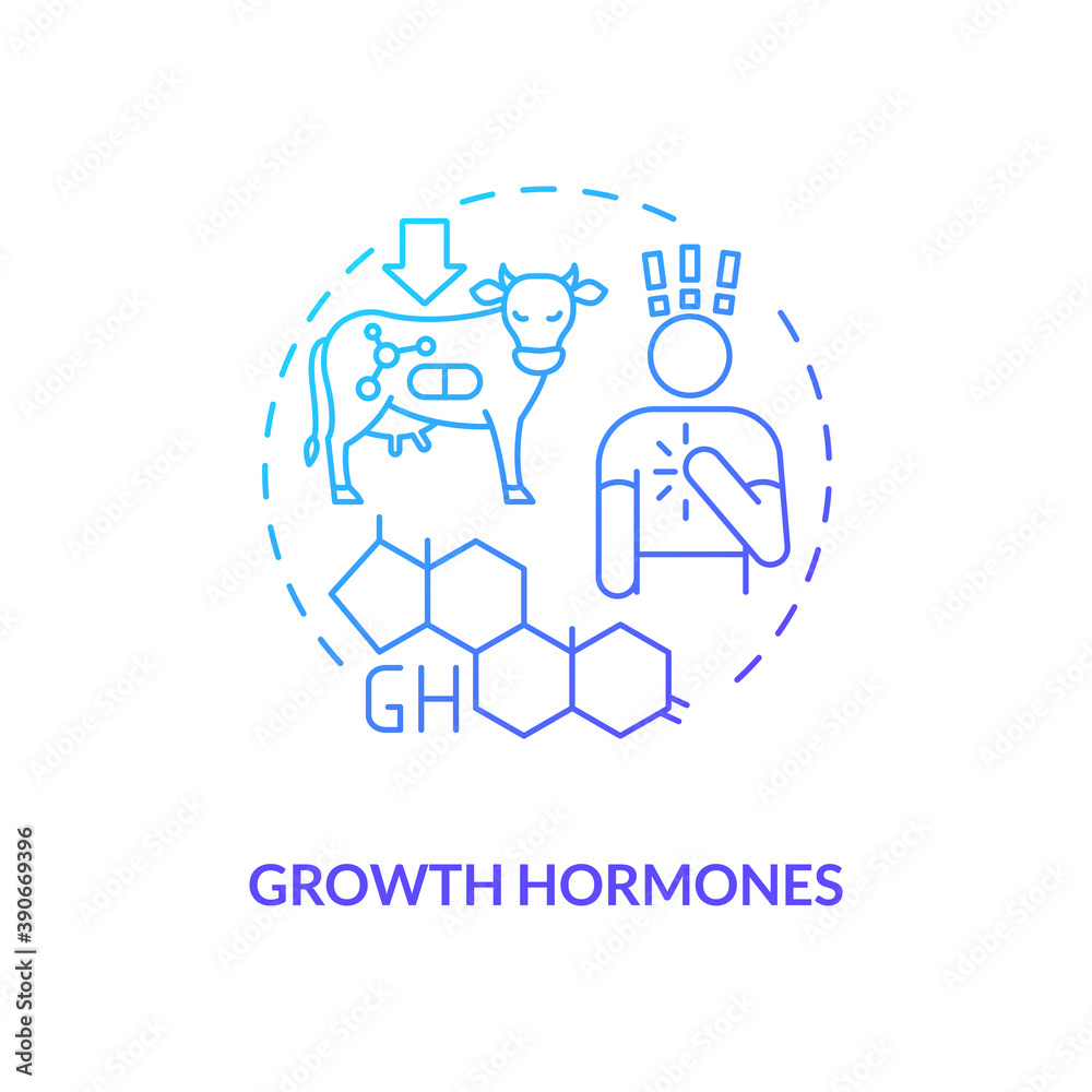 Growth hormones blue gradient concept icon. Protein in cow meat ...