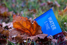 Utility Flags Free Stock Photo - Public Domain Pictures