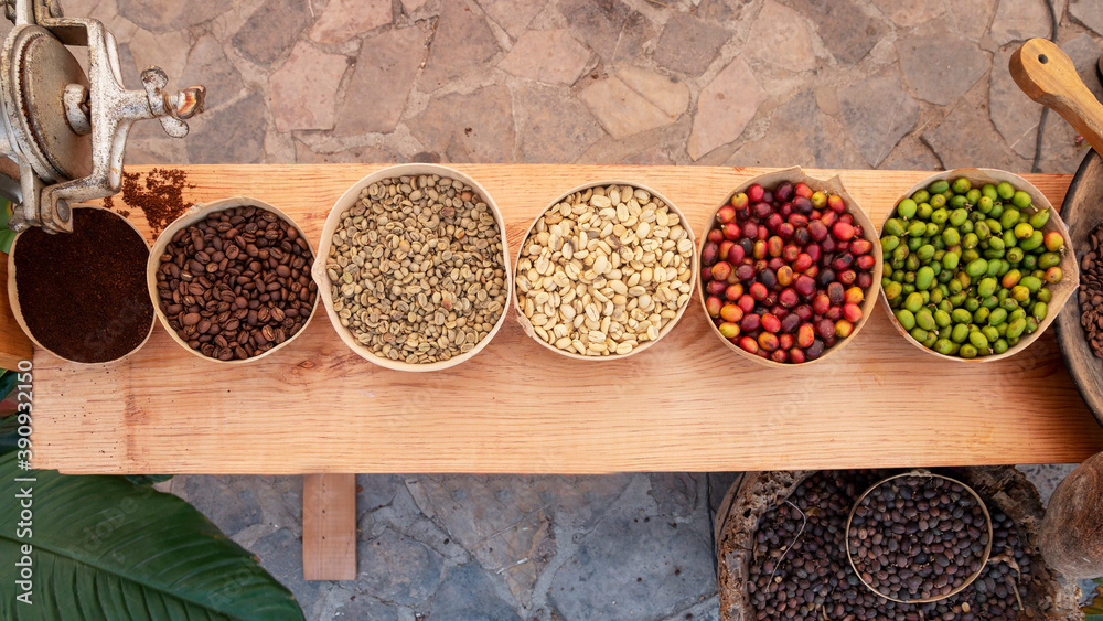 Different maduration stages of coffee cherries, and different steps in ...