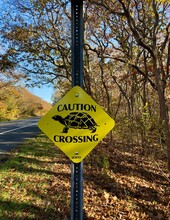 Turtle Crossing Sign Free Stock Photo - Public Domain Pictures
